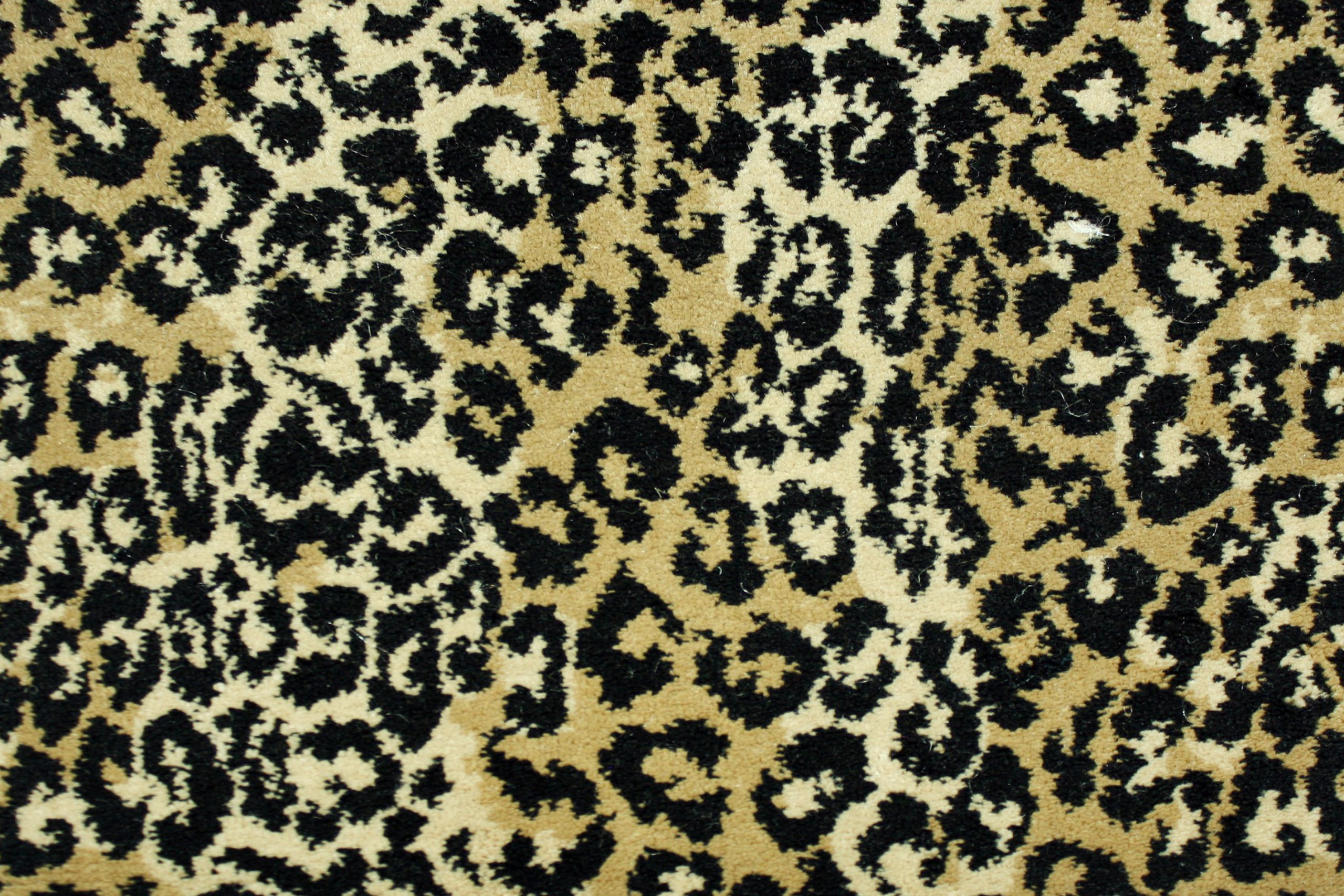 Animal Pattern - Carpet - Watson Smith Flooring