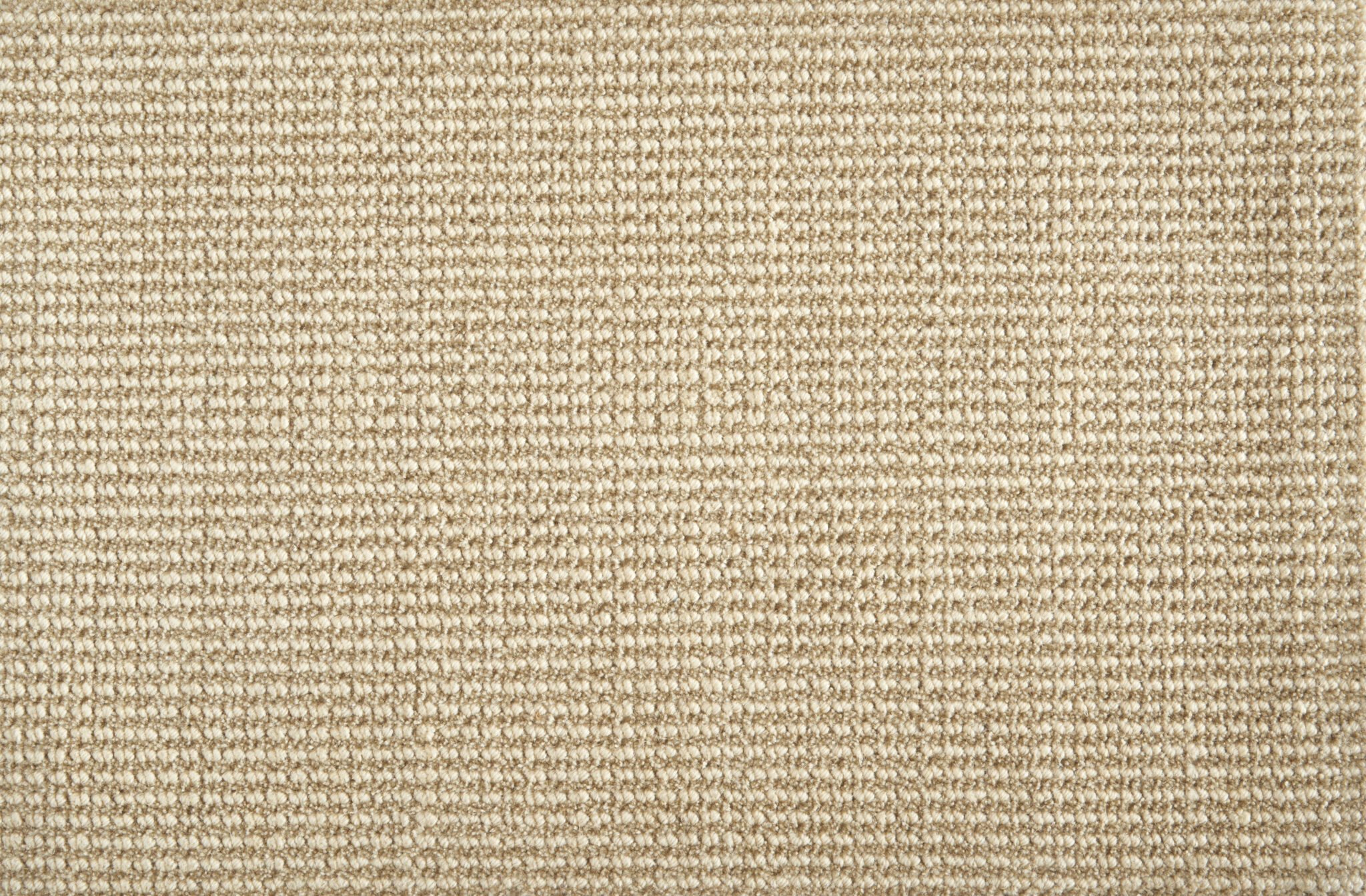Bodhi- Oats - Carpet, SOLID W/ ACCENT - Watson Smith Flooring